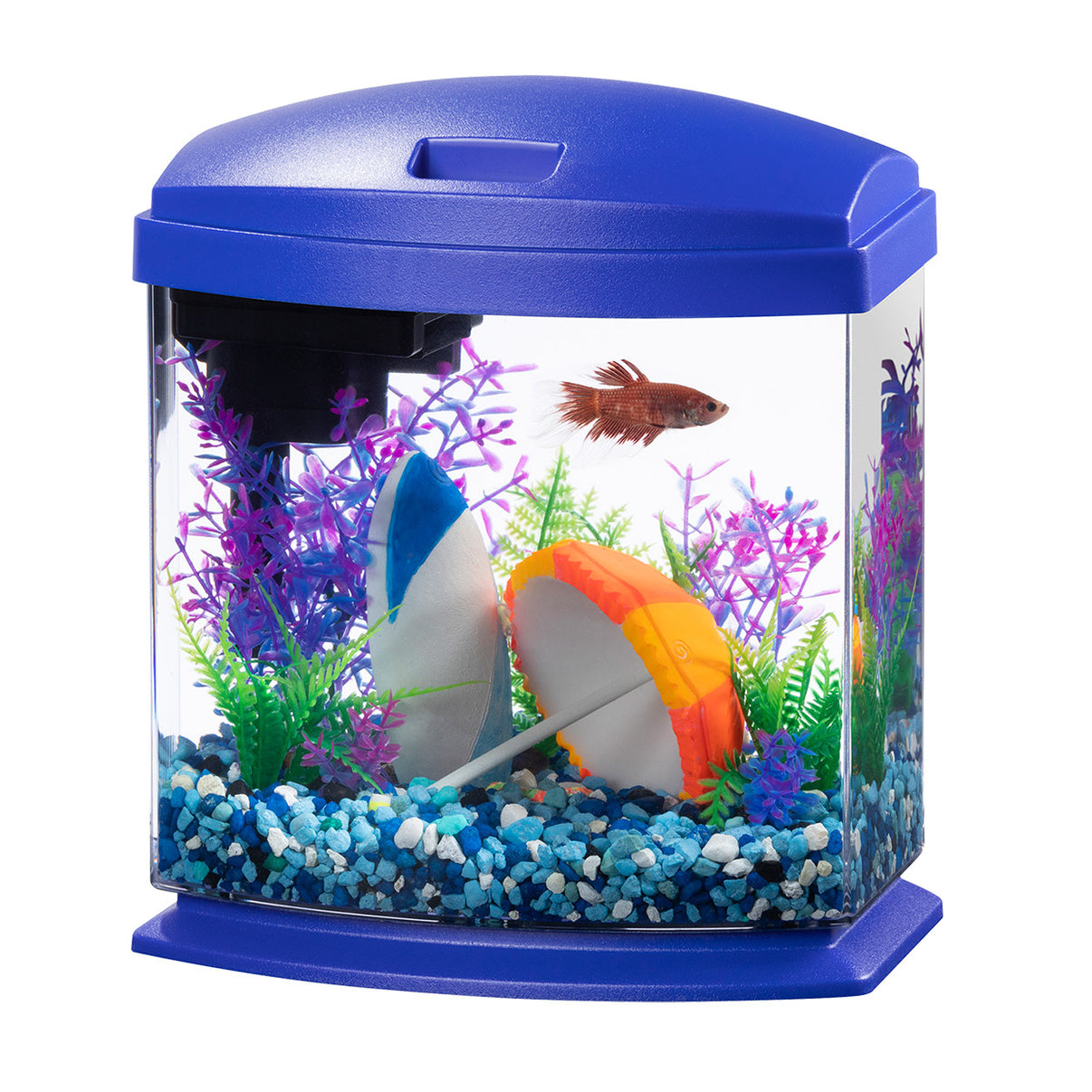 Aqueon | Aquarium Bleu MiniBow (1 gal) – Poseidon